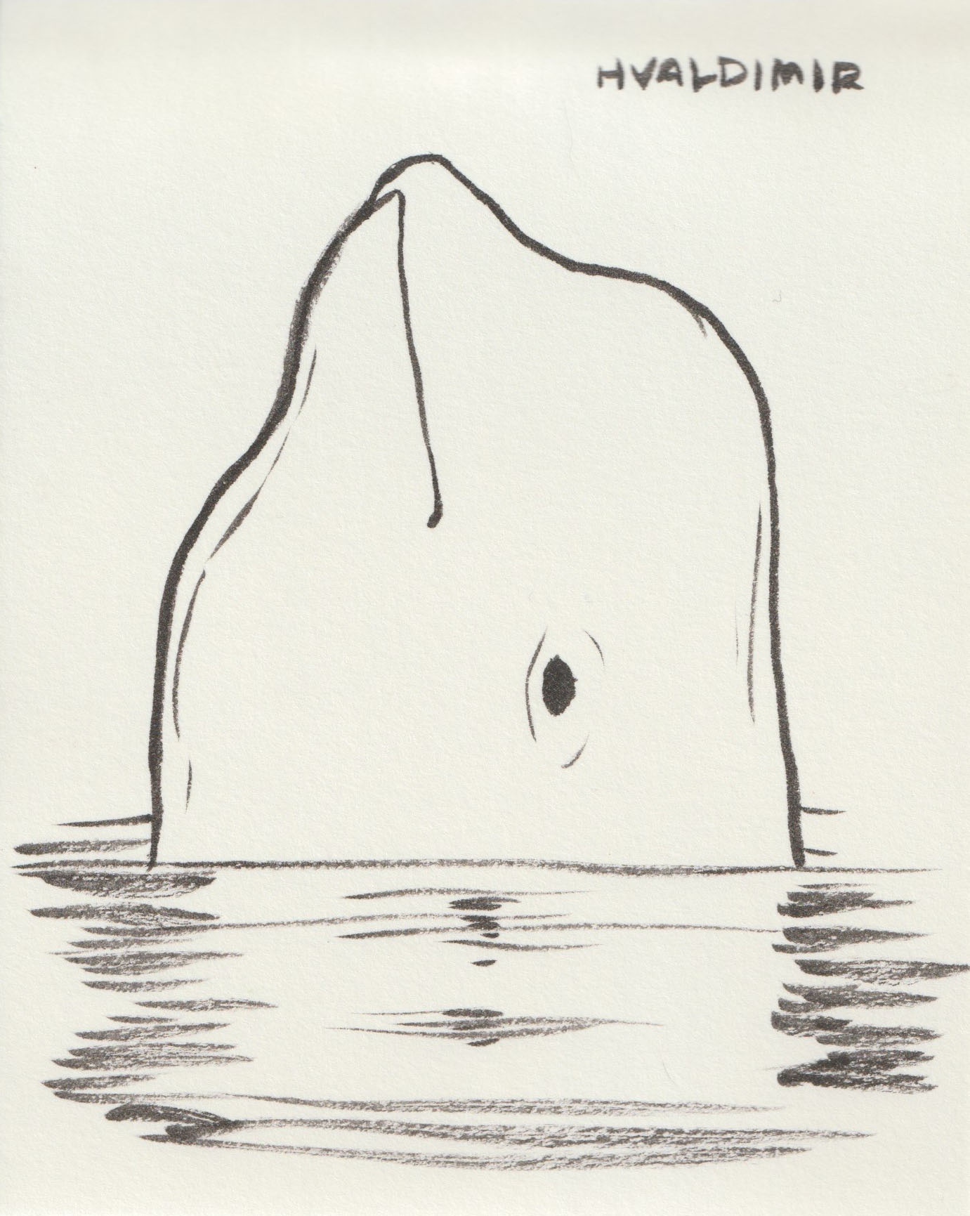 Hvaldimir the Whale – Stephanie Han Art & Design